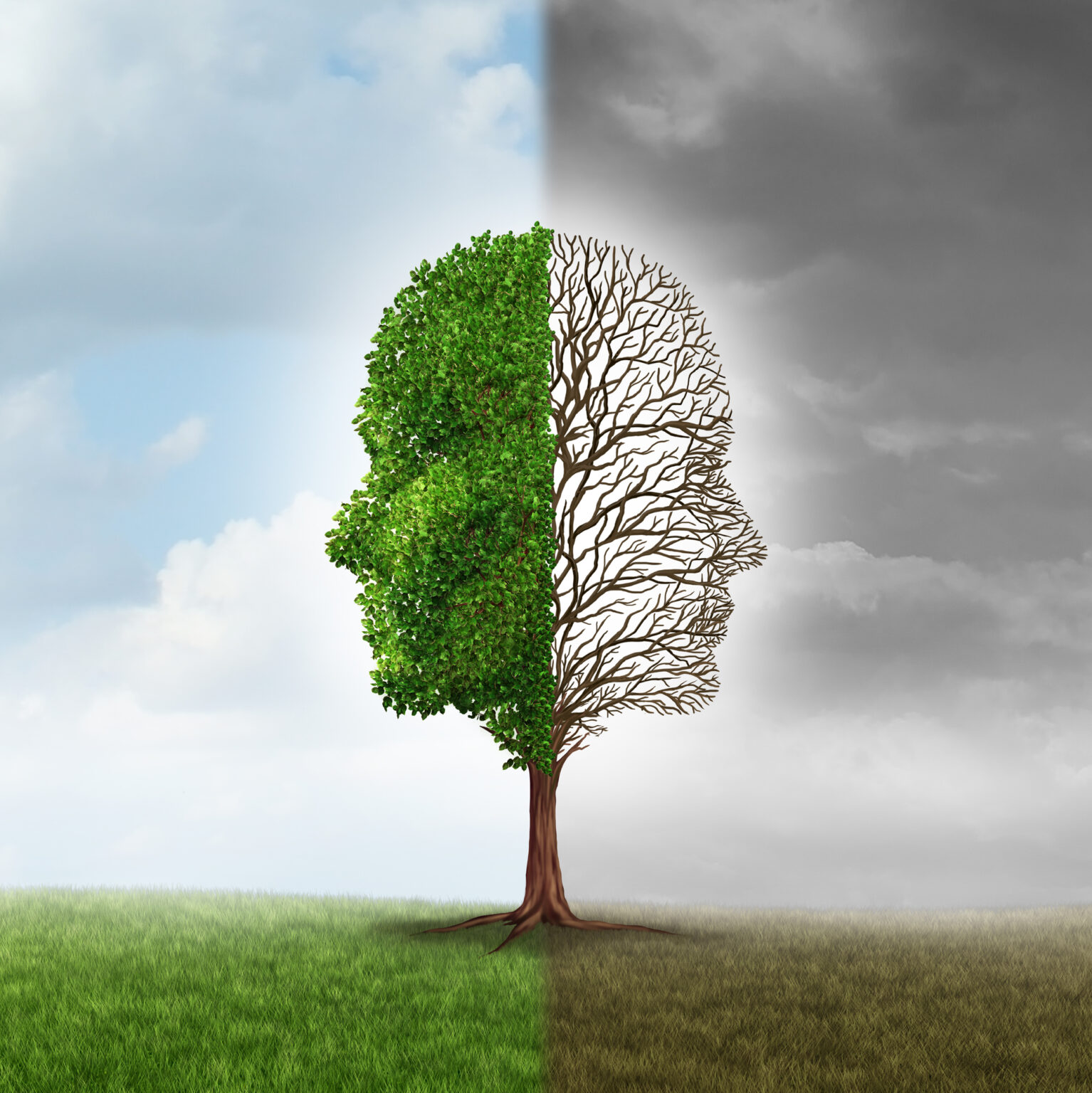 Bipolar and Related Disorders (Main Menu) - Simple and Practical Mental ...